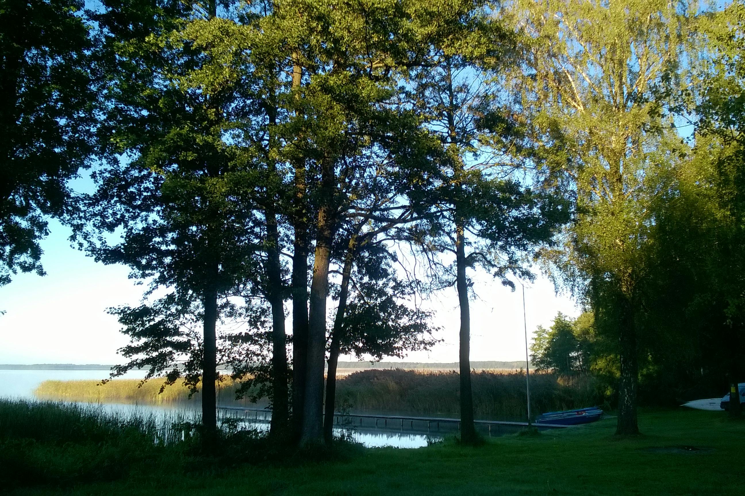 Camp Park Sonata