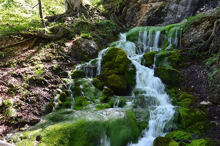 Campingplatz Camp Špik in Gozd Martuljek, Oberkrain / Gorenjska ...