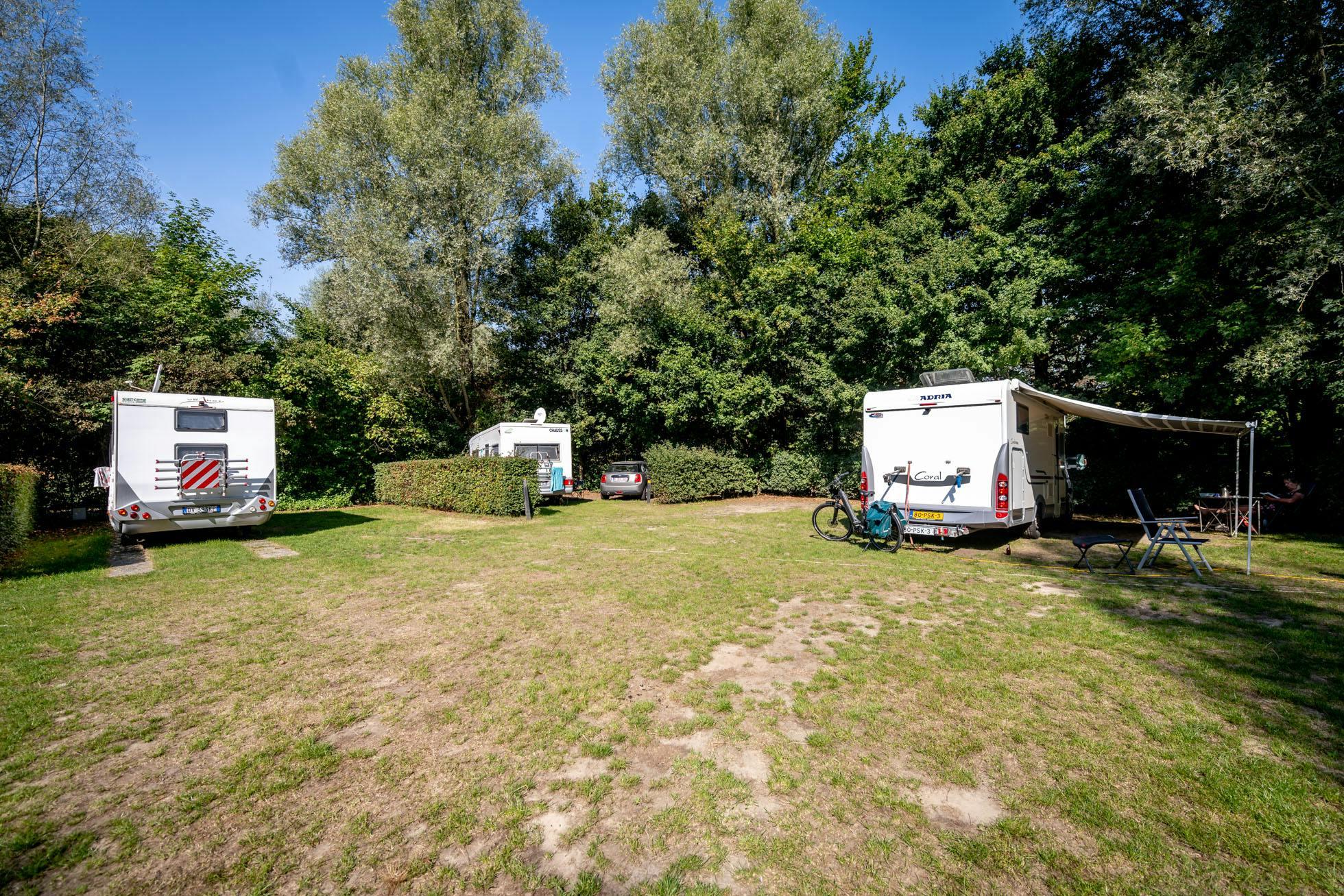 Urban Gardens Blaarmeersen Gent | ANWB Camping