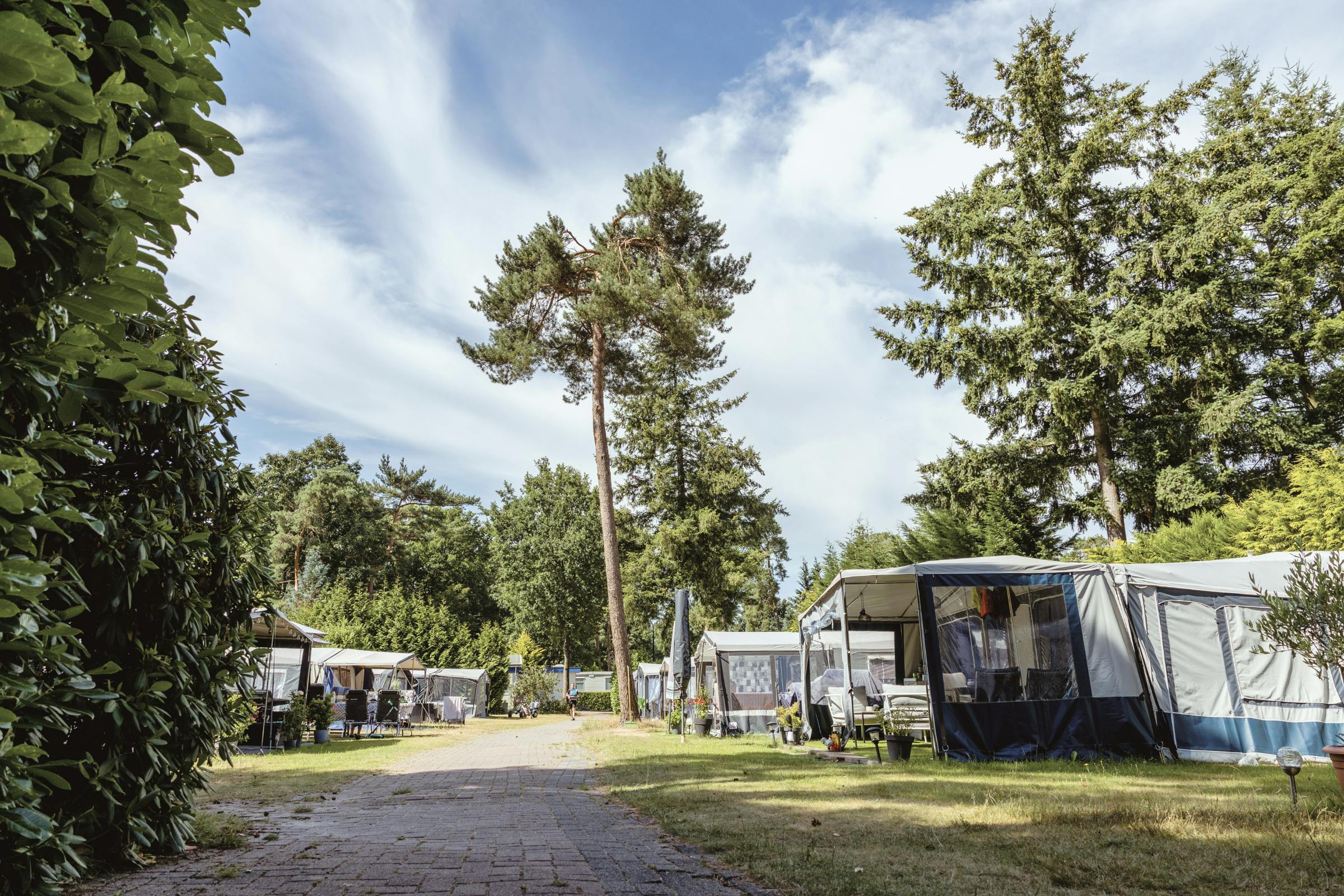 Camping De Zanderij | ANWB Camping