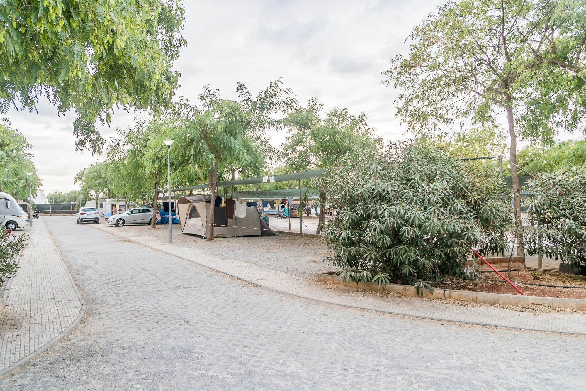 Start / Portugal / Distrikt Faro / Tavira / Camping Ria Formosa