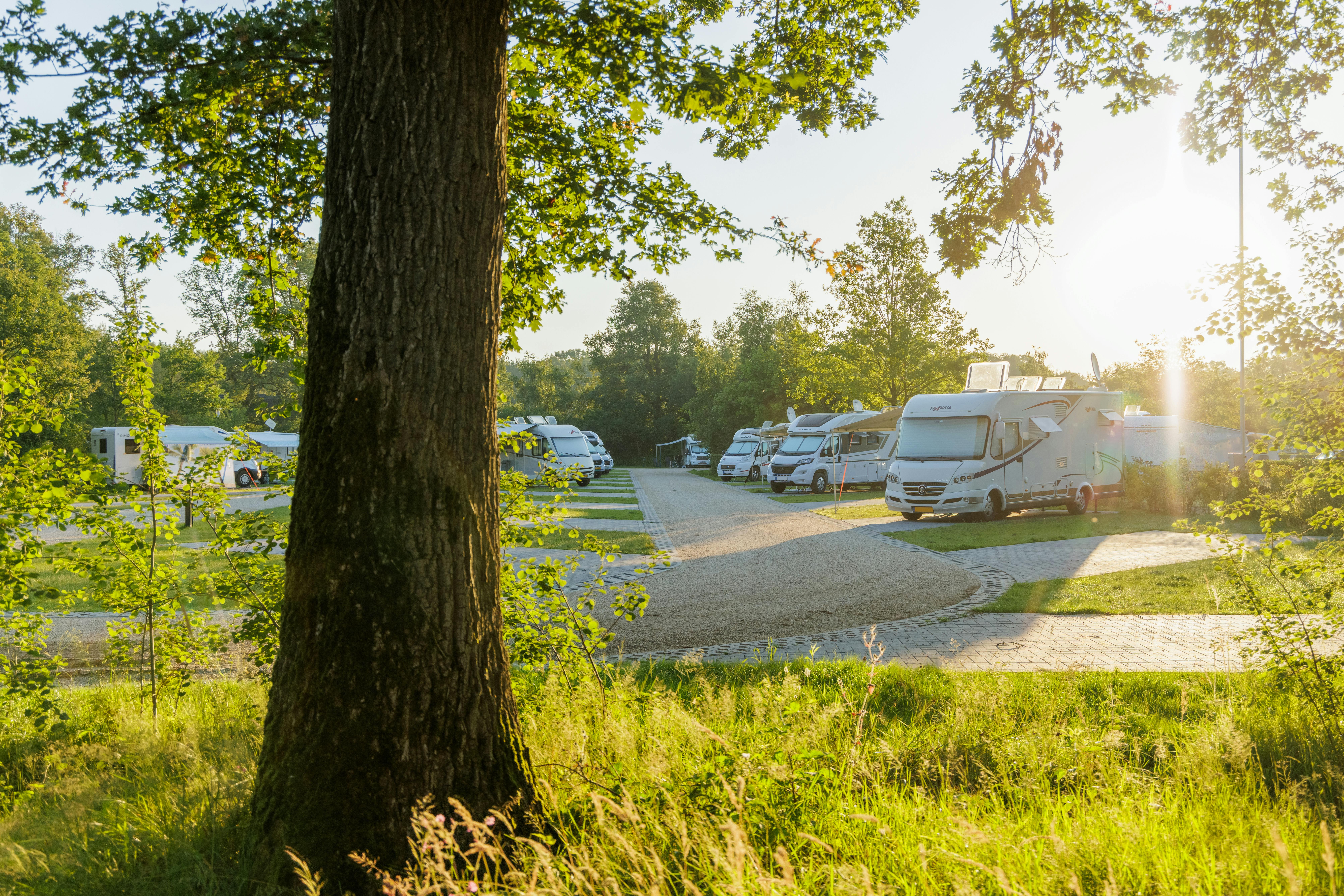 Camping Vreehorst | ANWB Camping