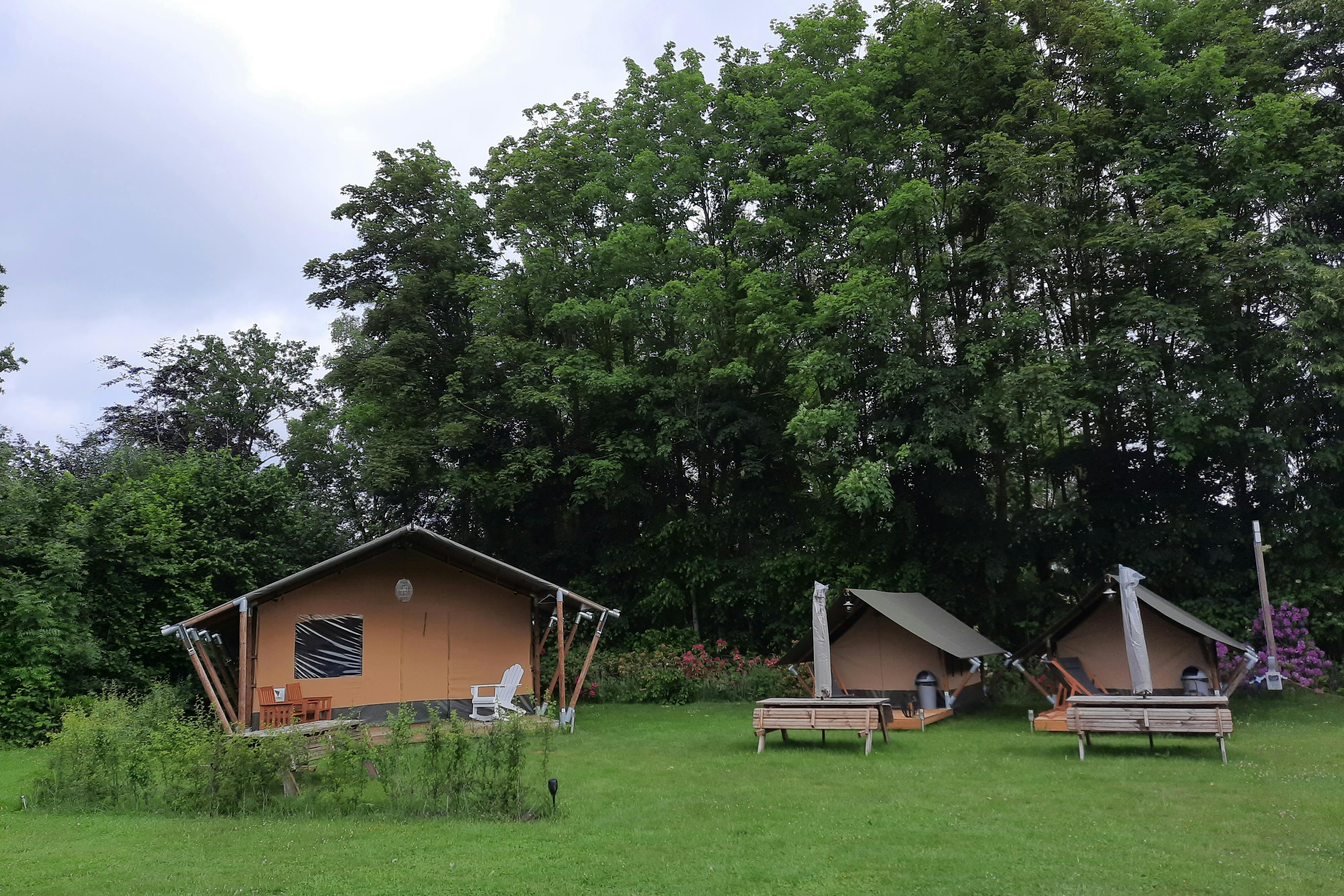 Minicamping De Loenense Brug | ANWB Camping