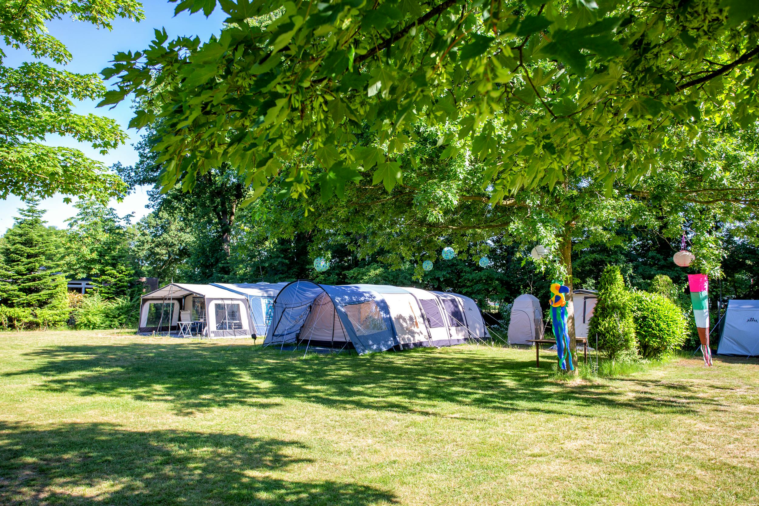 ParcCamping de Witte Vennen | ANWB Camping
