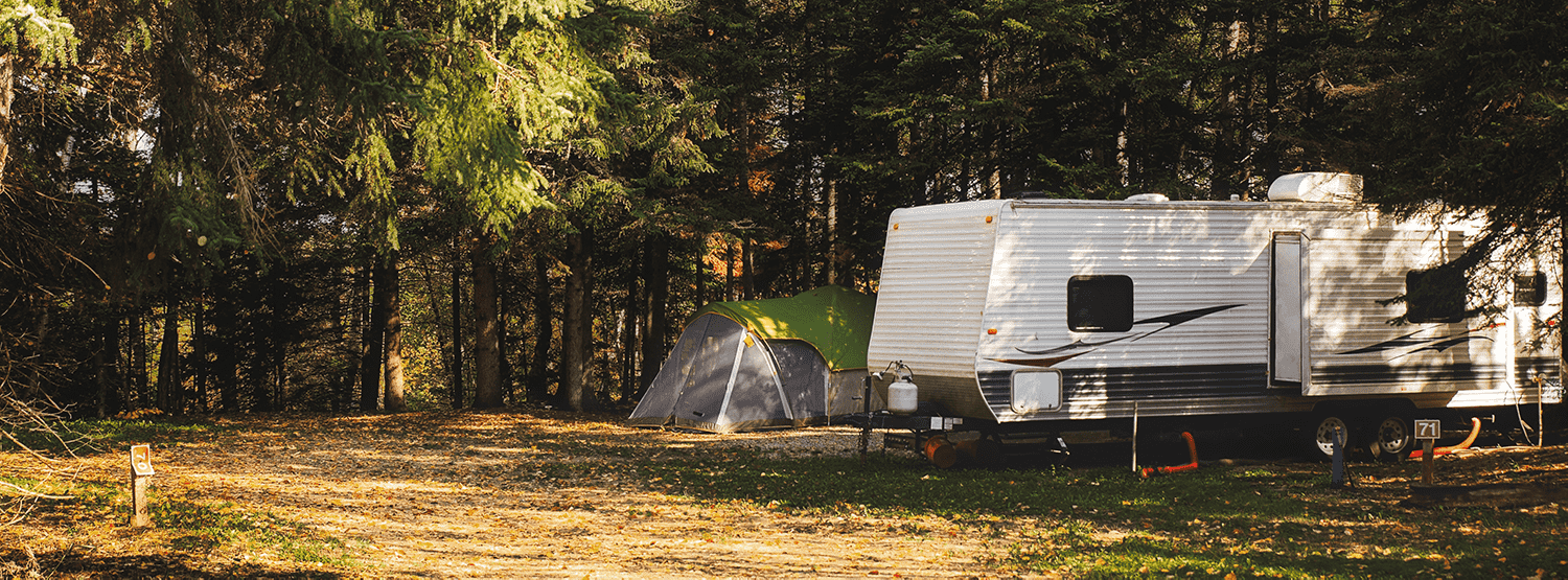 Die 10 besten Campingplätze für Wildlife-Fans in Deutschland