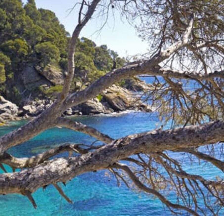 Camping zur Tour de France 2025: Höhepunkte in Alpen & Paris - PiNCAMP ...