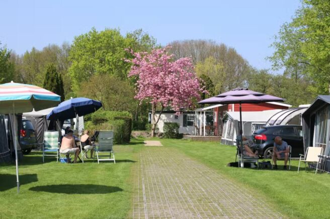 Stadtnahes Camping in den Niederlanden: Die 10 schönsten Plätze