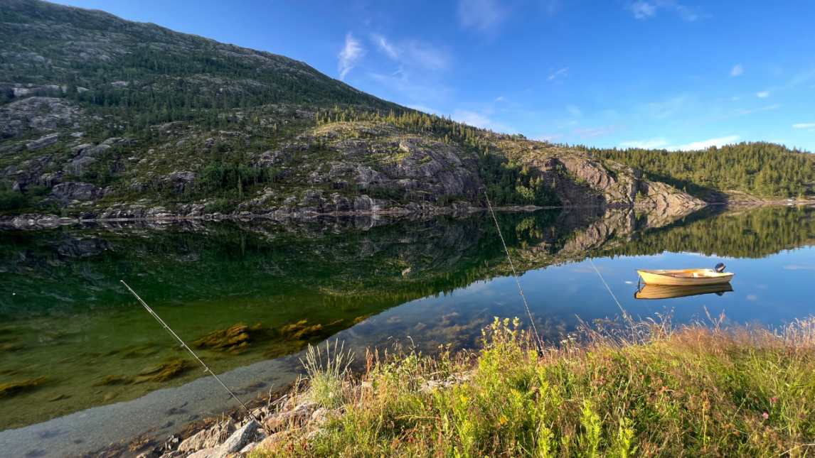 Angeln in Norwegen: Das musst du wissen - PiNCAMP Magazin