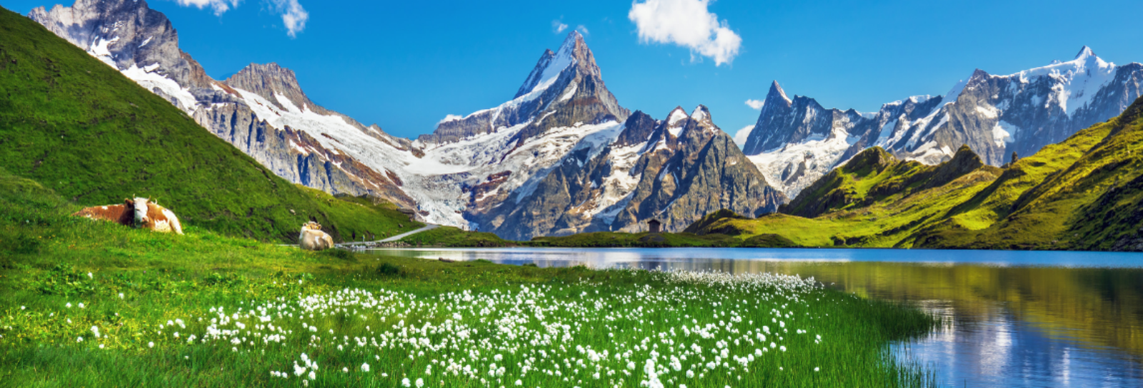 Glacier Express Route – eine beeindruckende Fahrt durch die Alpen ...