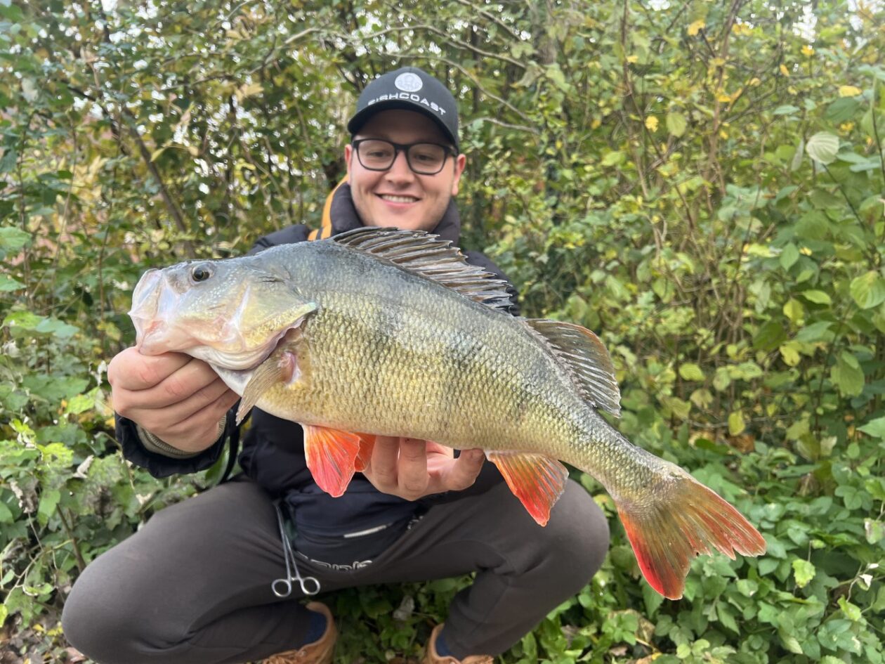 Angeln in Holland: Das musst Du wissen